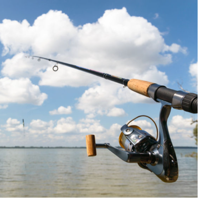 Top Cat Fishing Charters (@topcatfishingcharters) - SocProfile